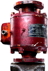 Xylem Replacement Guide